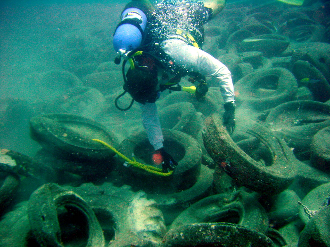 Les récifs artificiels - Sea(e)scape