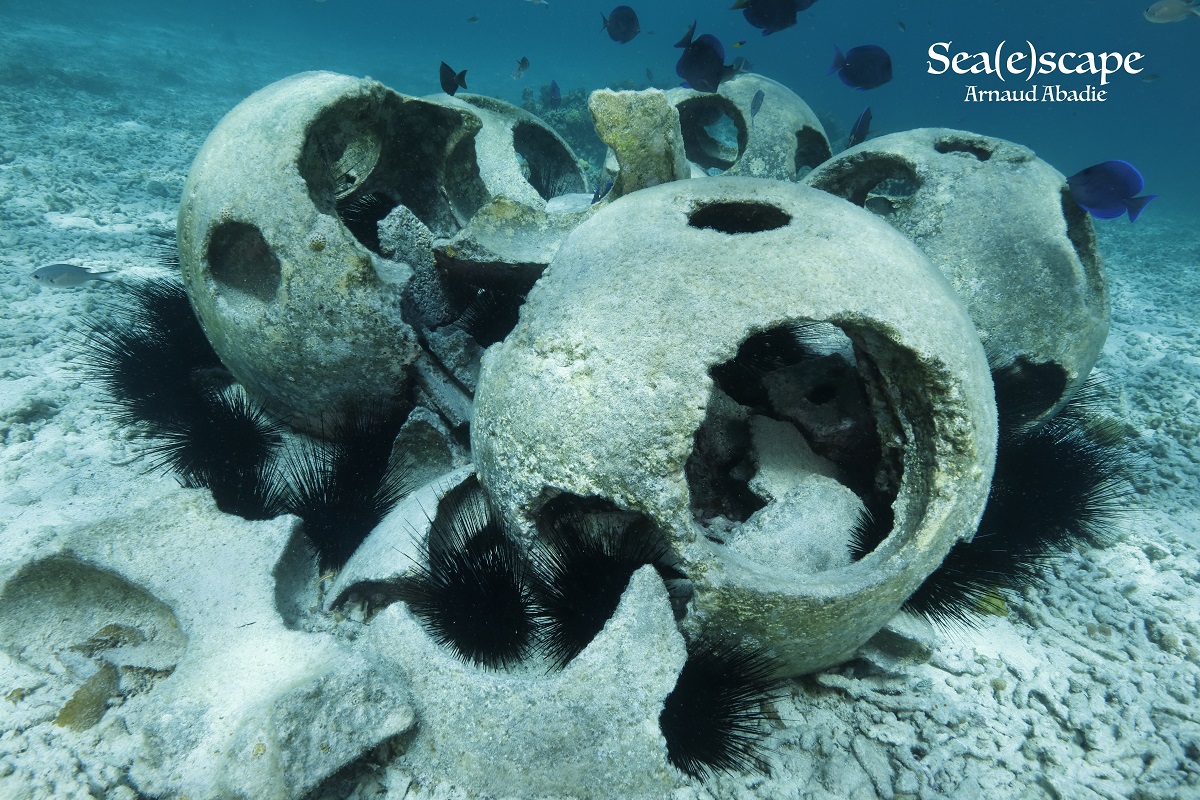Les récifs artificiels - Sea(e)scape