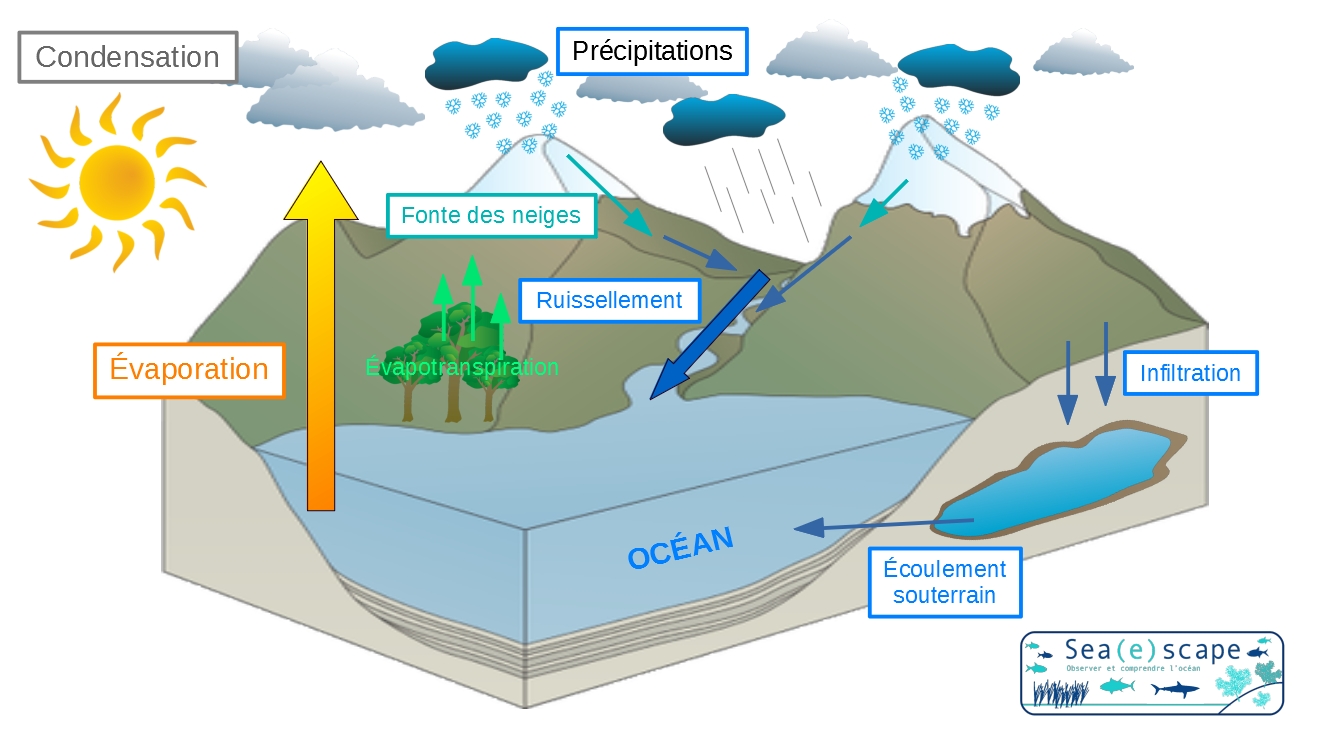 Le cycle de l’eau en Corse – Sea(e)scape