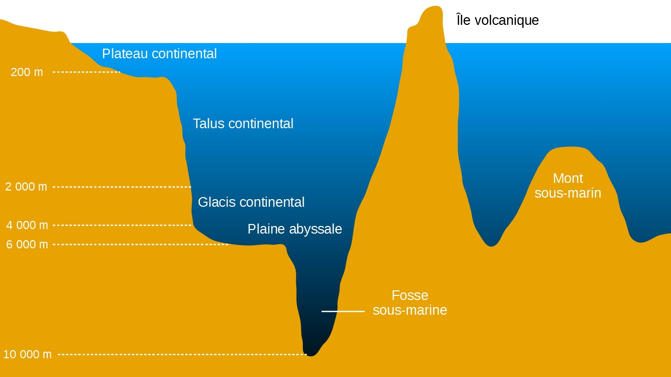 La course aux abysses. Quand ? Comment ? Pourquoi