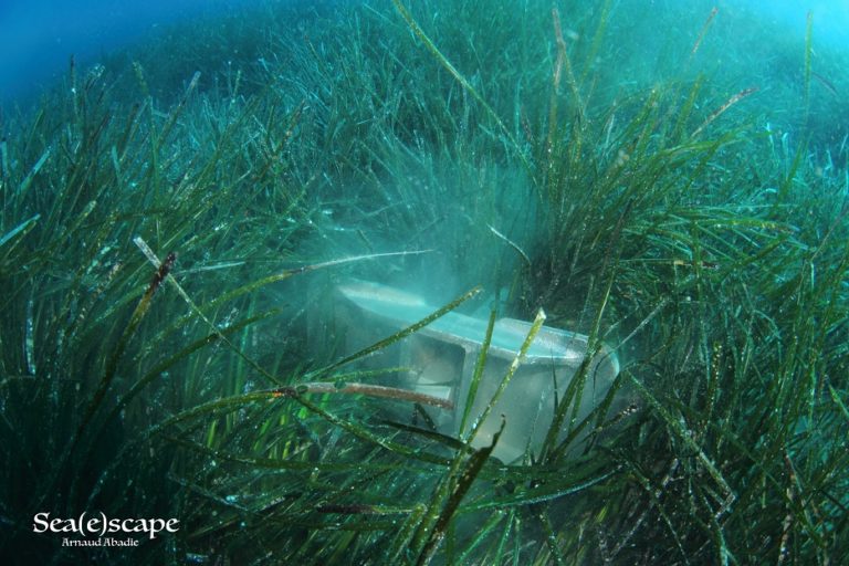L'ancrage et la posidonie ne font pas bon ménage