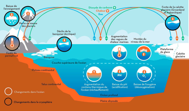 Océan et Climat : La pompe à carbone océanique - Sea(e)scape